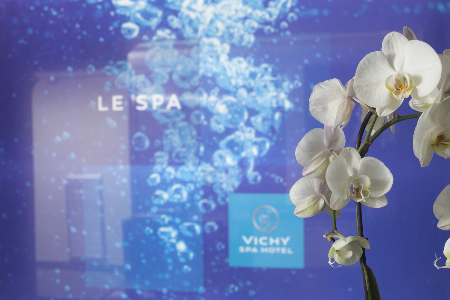 Ma journée de princesse au Vichy Spa Hôtel de Montpellier ... - Voyage ...